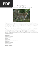 Amur Leopard Fact File | PDF | Leopard | Endangered Species