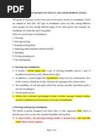 Biting and Chewing Insect Mouthparts | PDF | Insects | Arthropods