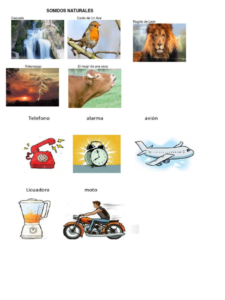 Sonidos naturales | PDF