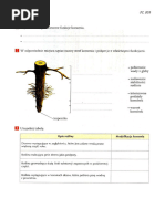 Wir Smart 2 - Materia - y Dydaktyczne | PDF