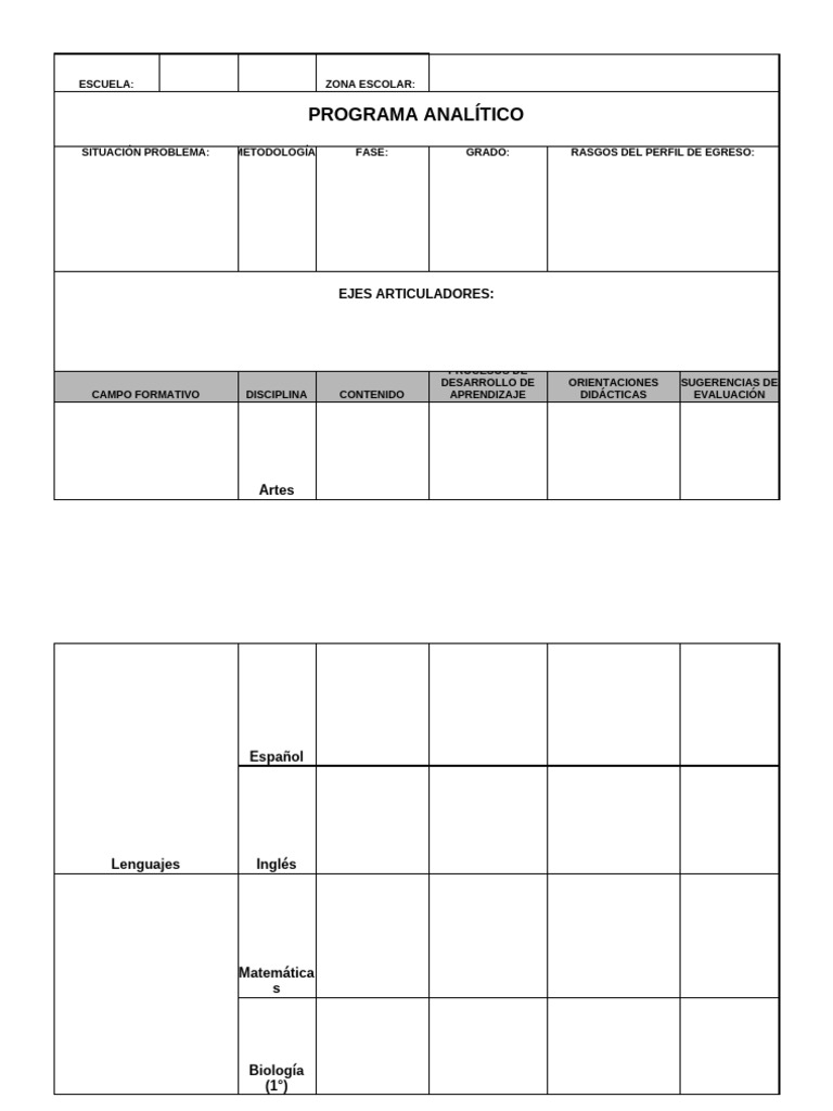 Formato de Programa Analítico | PDF