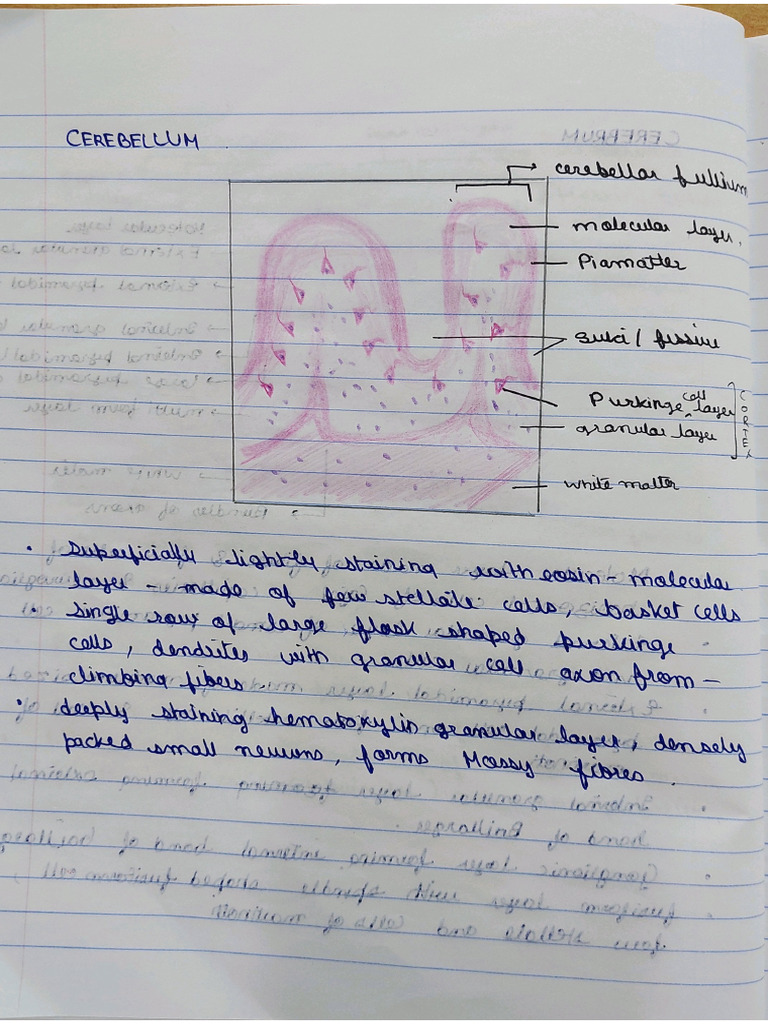 histo points n diagram 4.3.25 | PDF