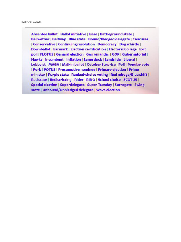 Key Political Vocabulary Explained | PDF