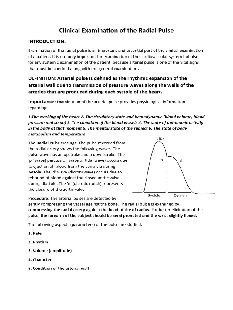 Radial Pulse Examination Techniques | PDF | Pulse | Atrium (Heart)