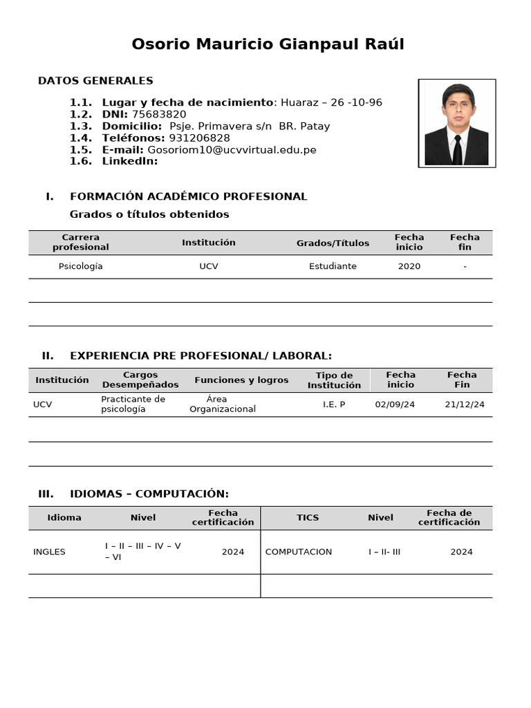 Formato de CV Actualizado 2025 | PDF