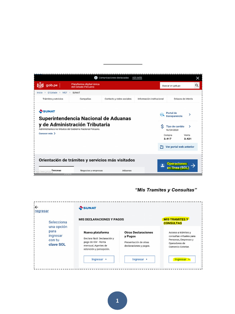 Verificación de Guías de Remisión SUNAT | PDF