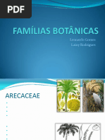 Filotaxia | PDF | Folha | Morfologia vegetal