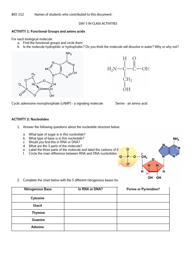 Macromolecules Worksheet | PDF | Nucleotides | Life Sciences