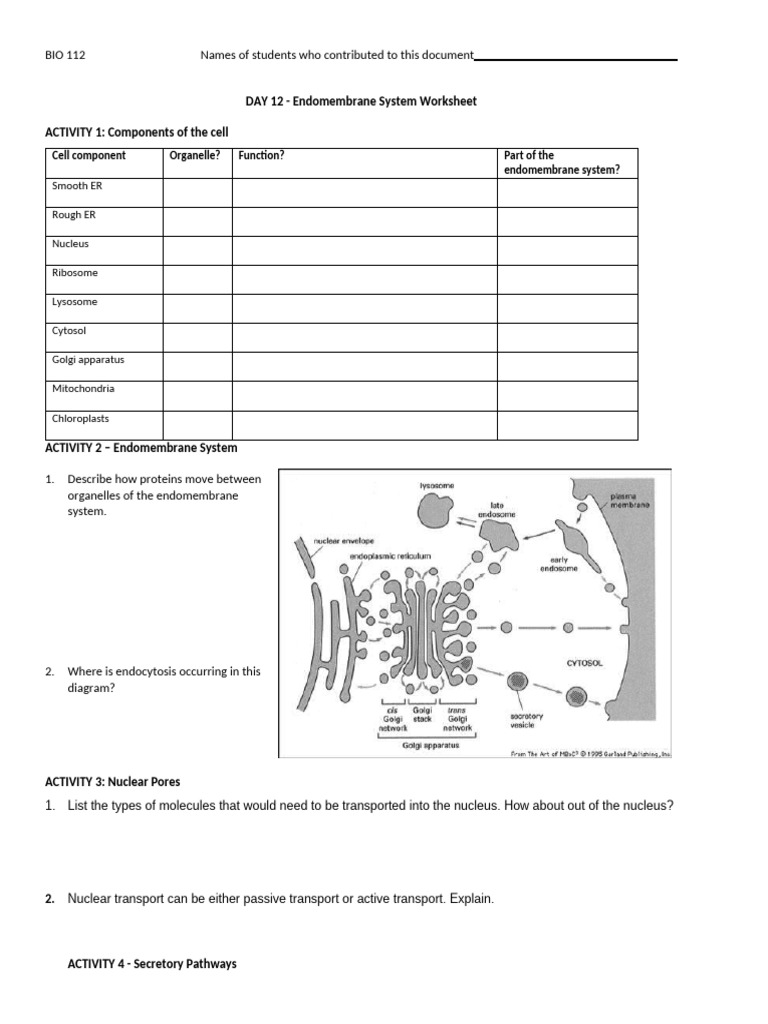 Day 12 Endomembrane System Worksheet | PDF