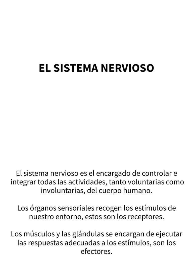 Sistema Nervioso | PDF | Cerebro | Sistema nervioso central