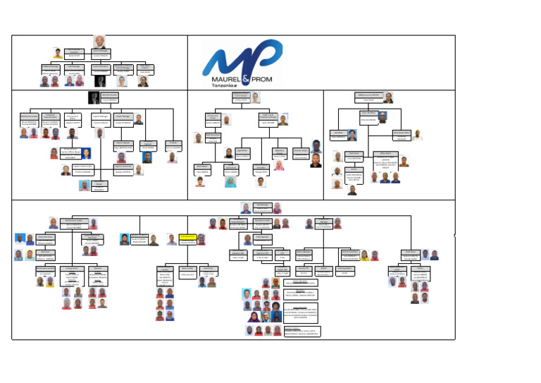 Organizational Chart M P Tanzania | PDF | Logistics