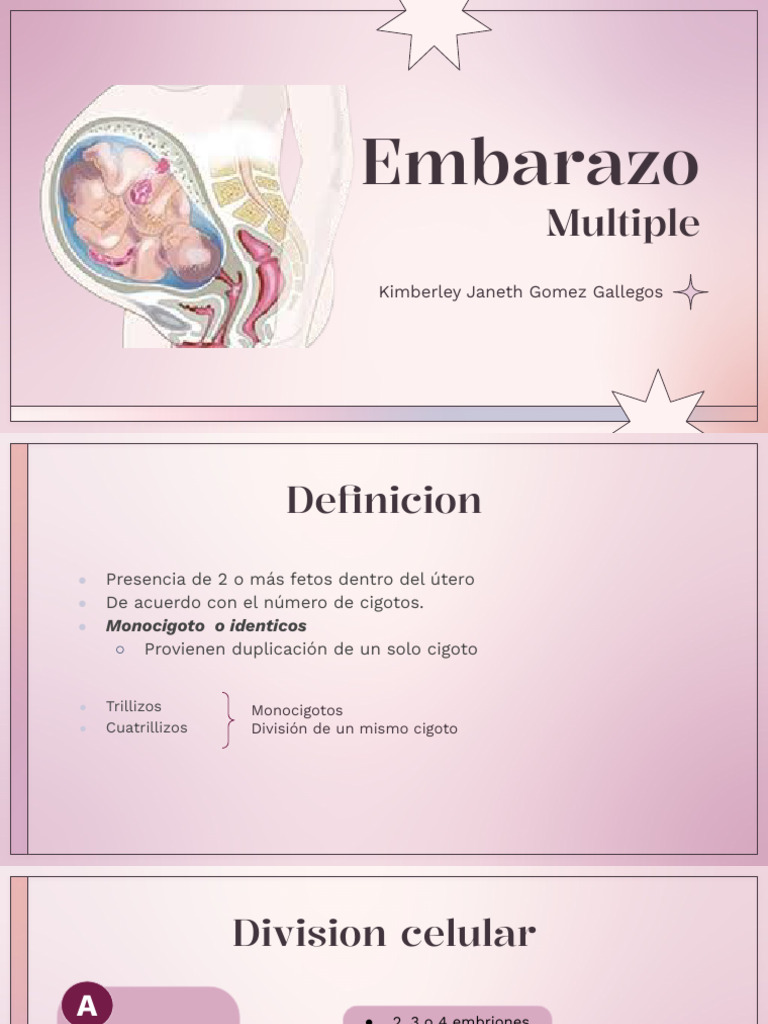 Embarazo Multiple | PDF | Nacimientos Múltiples | El embarazo
