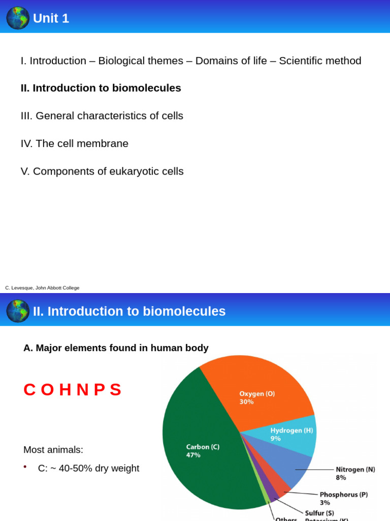 2 Biomolecules 2023 | PDF | Carbohydrates | Lipid