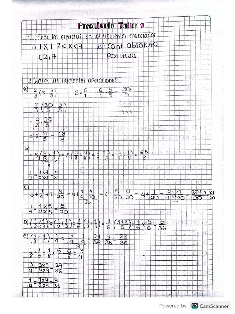 Taller Precalculo Vale | PDF