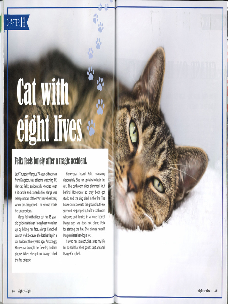 Chapter 14 Cat With Eight Lives | PDF