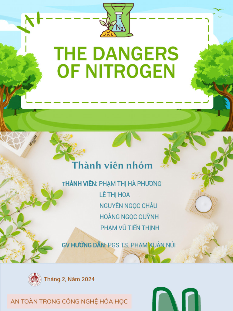The Danger of Nitrogen | PDF
