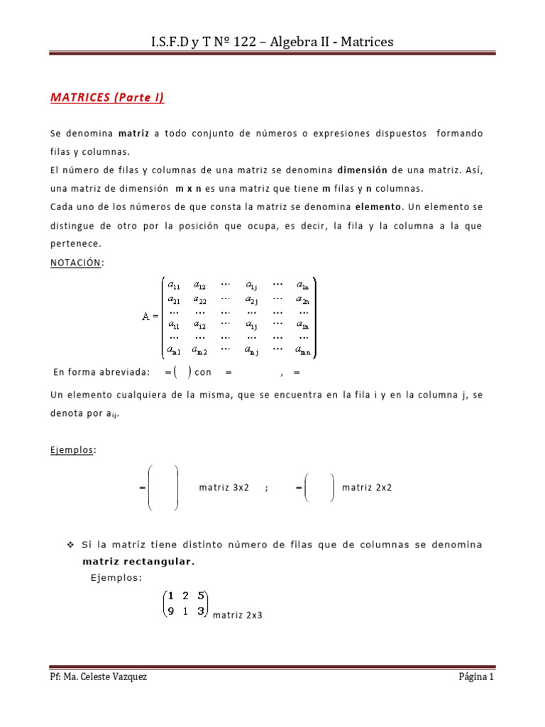 Matrices - Parte I 1 | PDF | Matriz (Matemáticas) | Álgebra