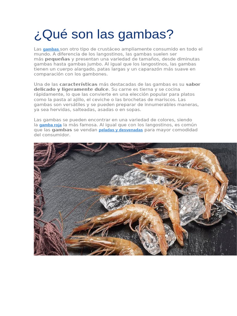 Qué Son Las Gambas | PDF
