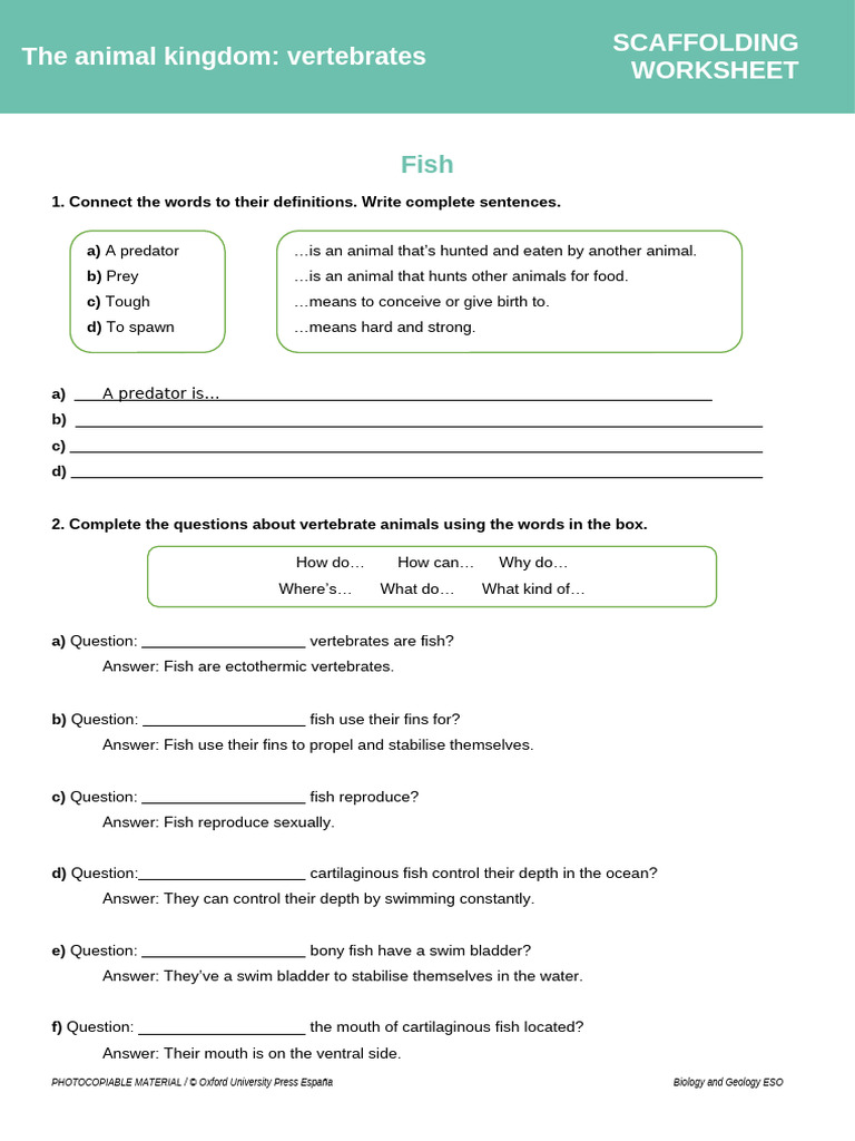 Vertebrate Fish Scaffolding Worksheet | PDF | Fish | Predation