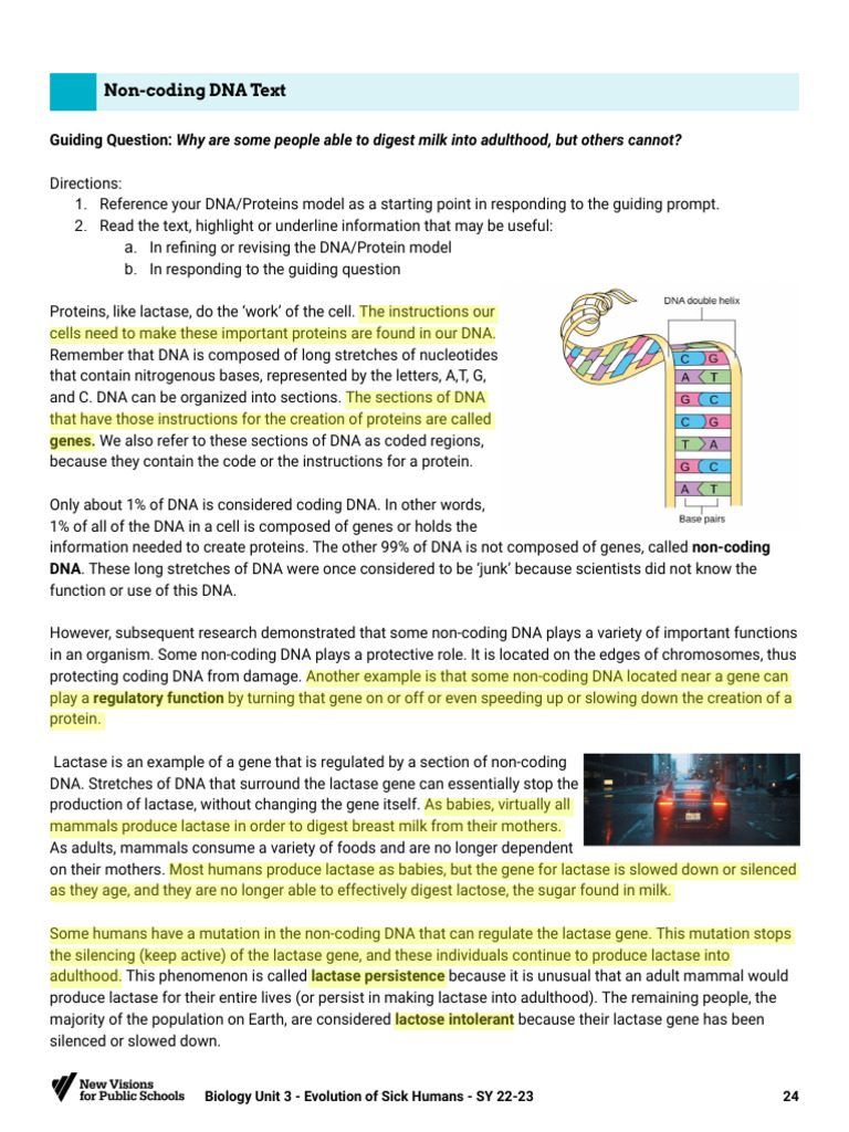 Lactase Persistence and Evolution | PDF | Milk | Gene