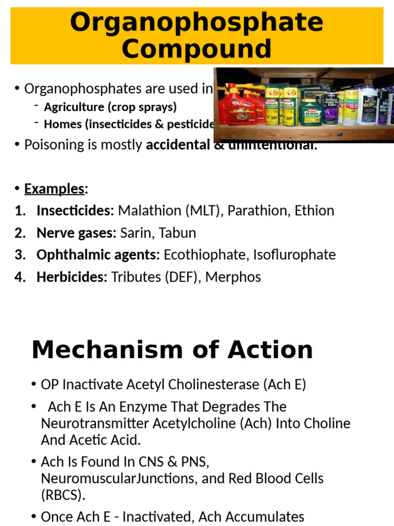 Organophosphate Poisoning: Symptoms & Treatment | PDF