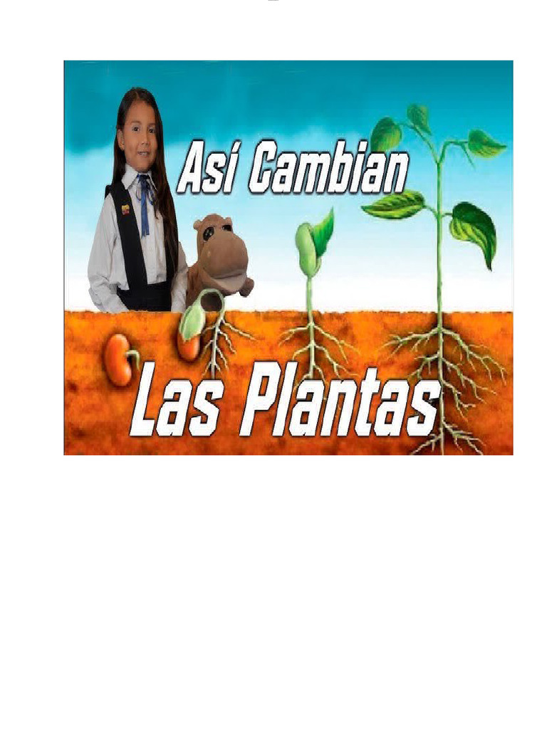 Las Plantas y Sus Cambios 3 Grado | PDF | Plantas | Botánica
