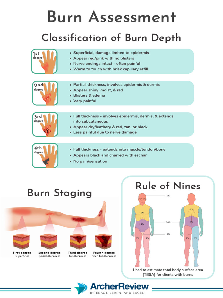 Burn Depth Classification and Assessment | PDF