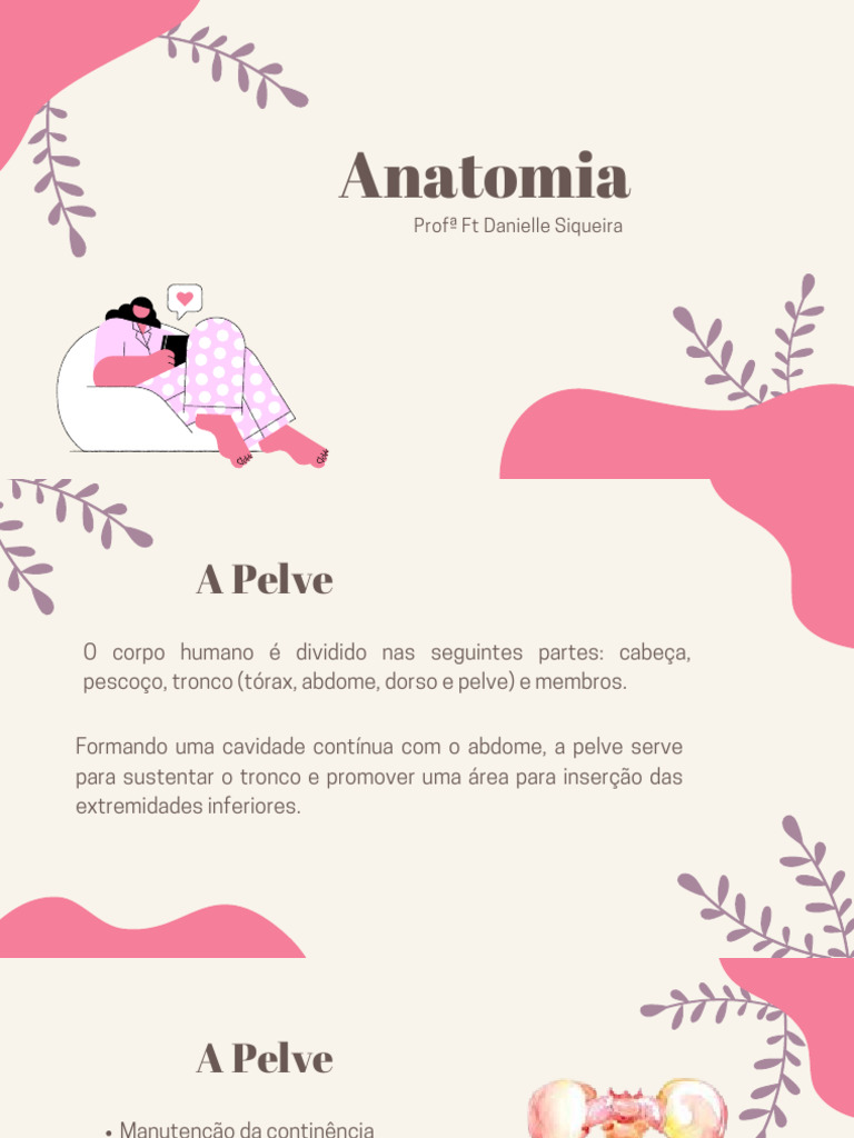 Anatomia da Pelve: Estrutura e Funções | PDF | Pélvis | Sistema Locomotor
