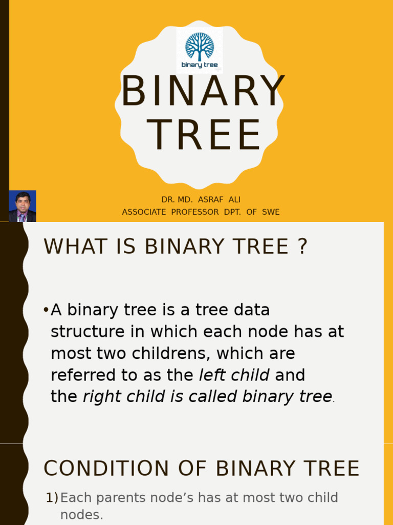 Understanding Skewed Binary Trees | PDF | Algorithms And Data Structures