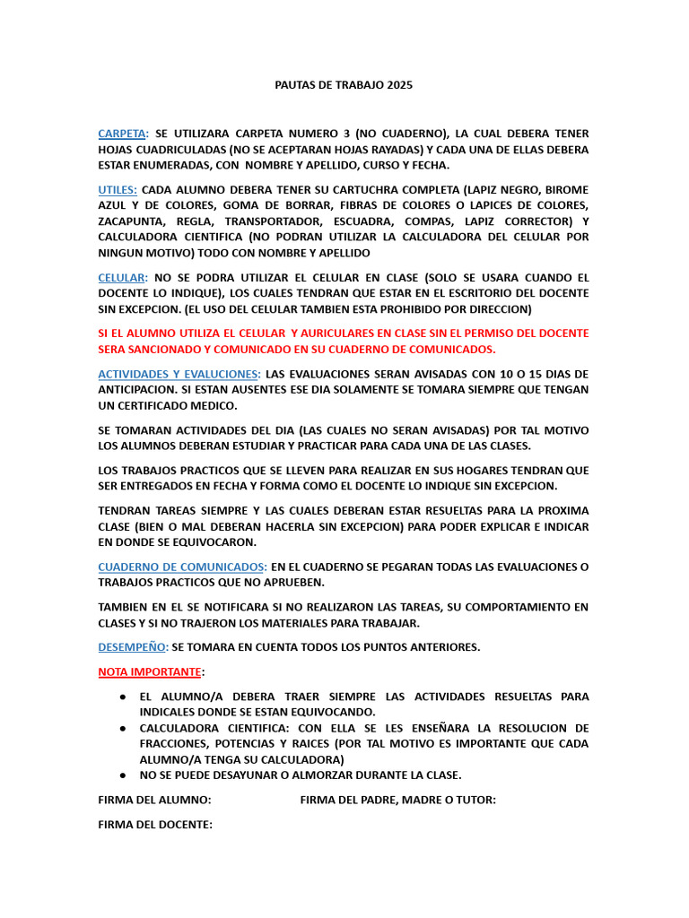 Pautas de Trabajo 2025 | PDF