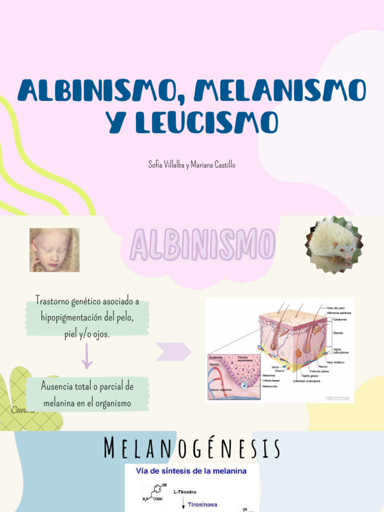 Albinismo y melanismo: diferencias clave | PDF