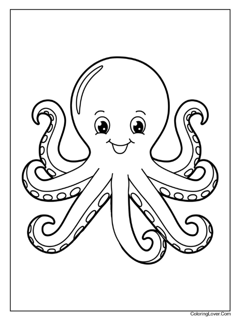 Octupus | PDF