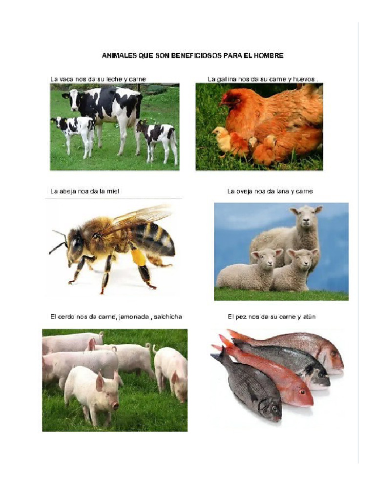 ANIMALES QUE SON BENEFICIOSOS PARA EL SER HUMANO | PDF
