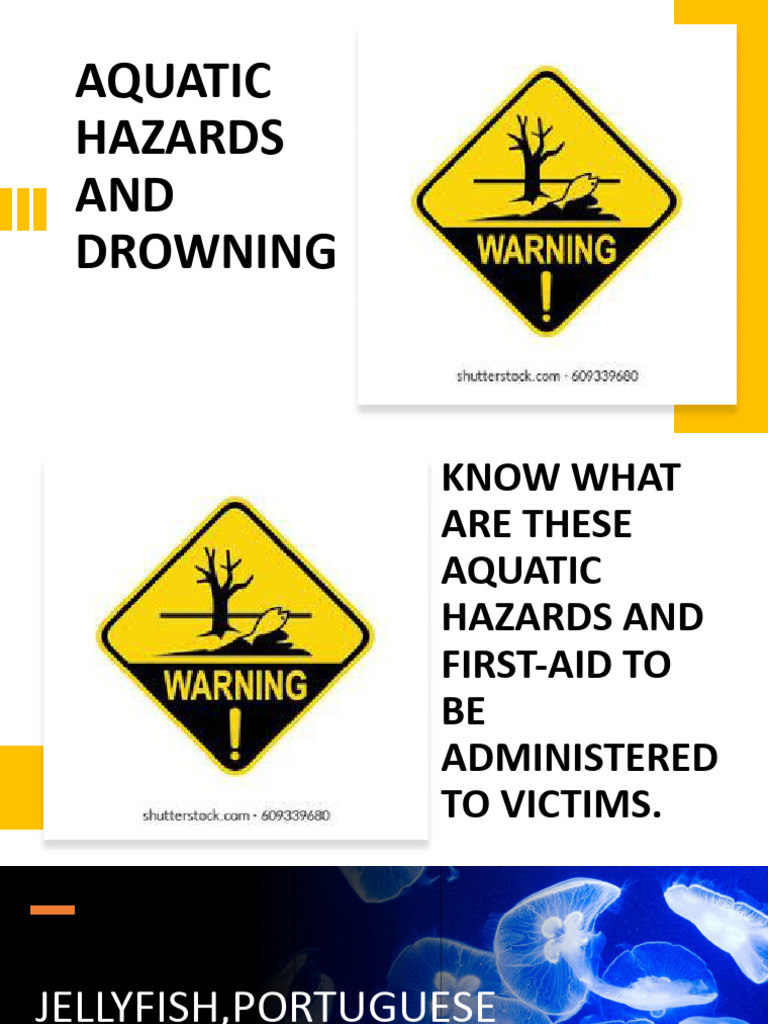 Aquatic Hazards and First Aid Guide | PDF | Cardiopulmonary Resuscitation