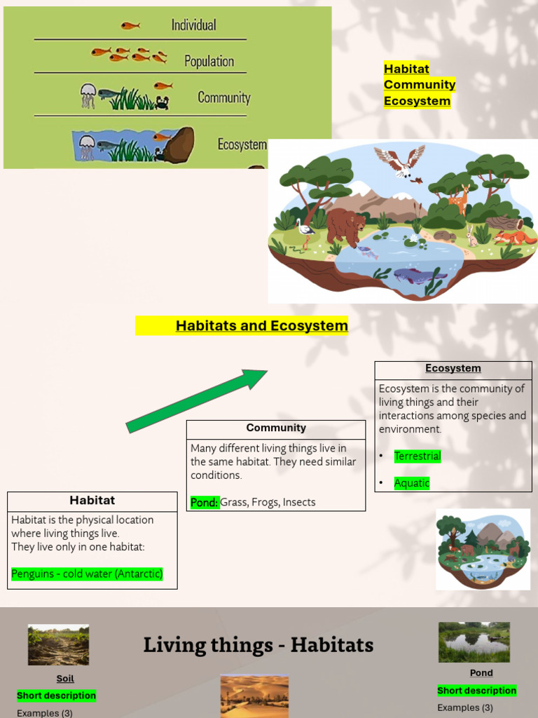 8th Habitats and Ecosystem | PDF
