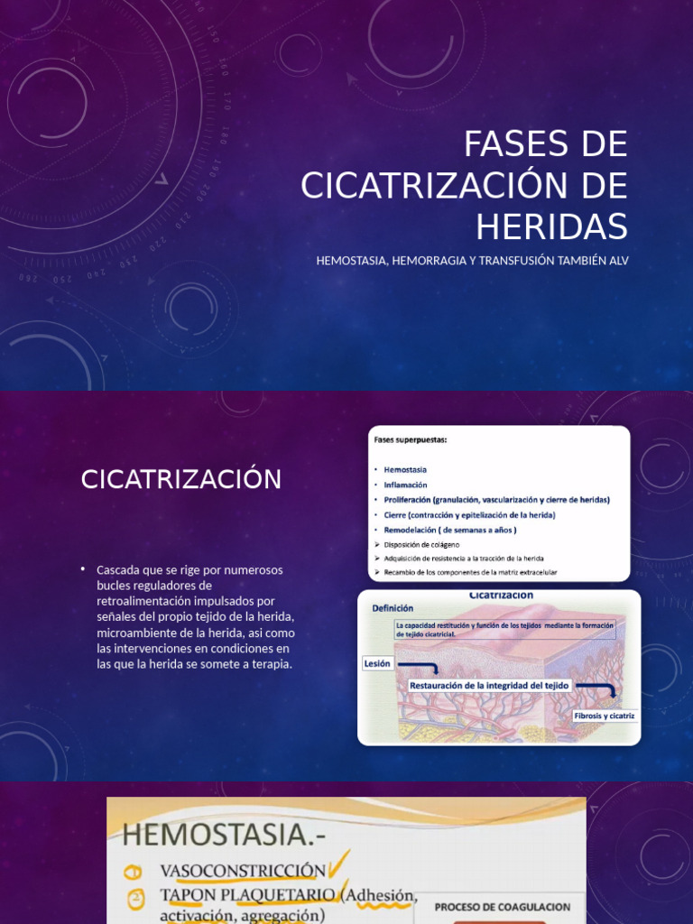 Fases de Cicatrización de Heridas | PDF