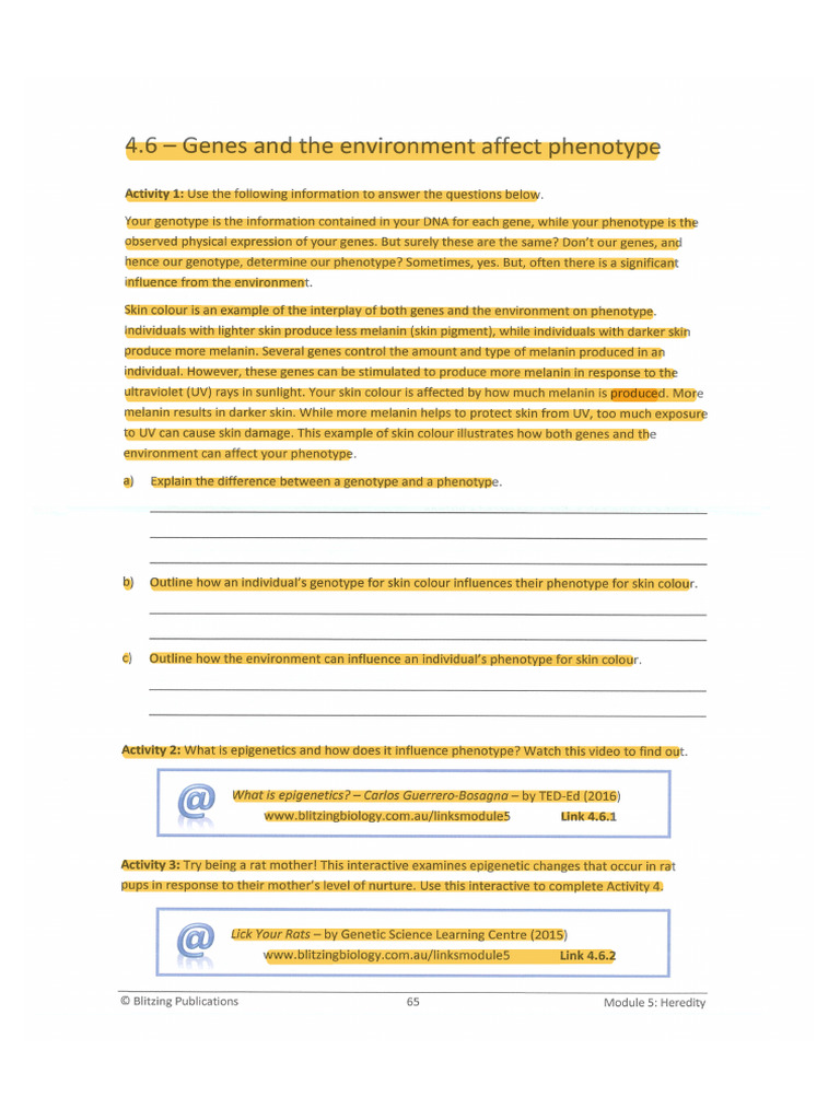 4.6 Genes and The Environment Affect Phenotype | PDF
