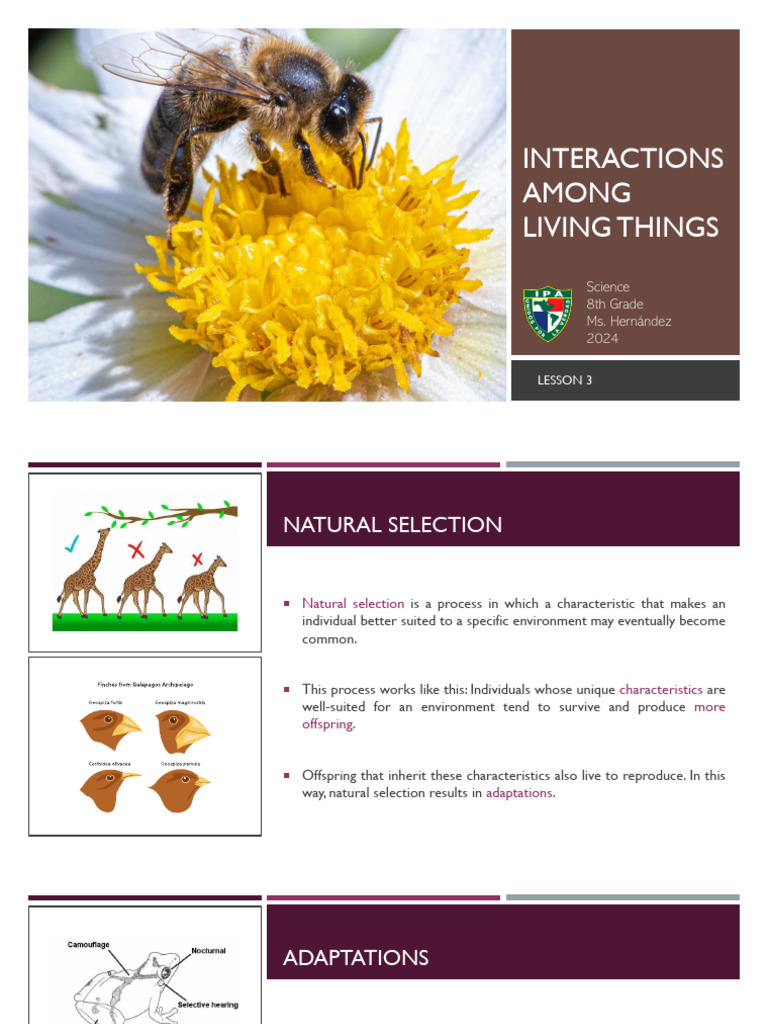 Lesson 3 Interactions Among Living Things | PDF | Predation | Ecological Niche