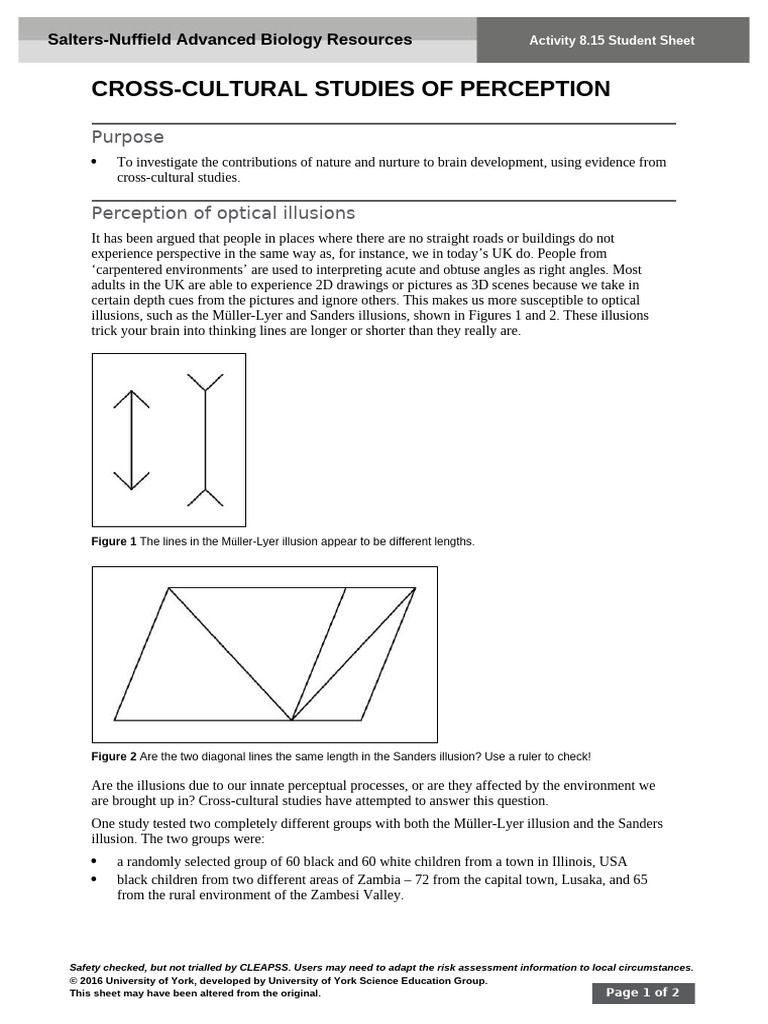 Activity 8-15 Student | PDF | Mental Processes | Cognitive Psychology