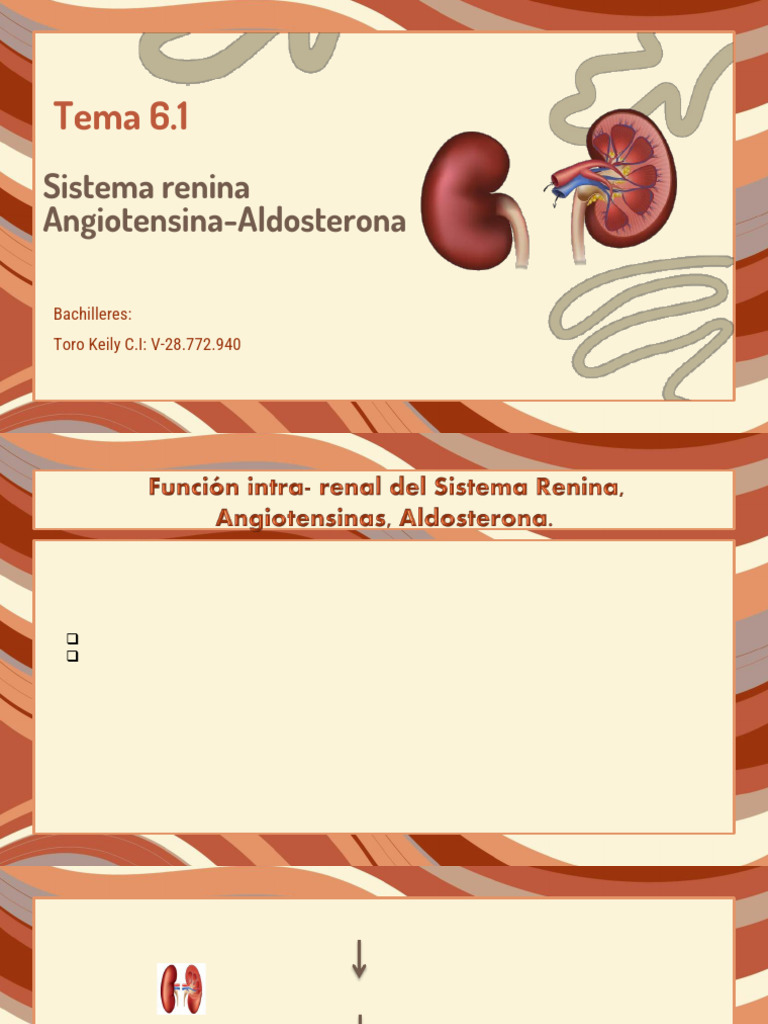 T6-1. Sistema RAA | PDF | Angiotensina | Riñón