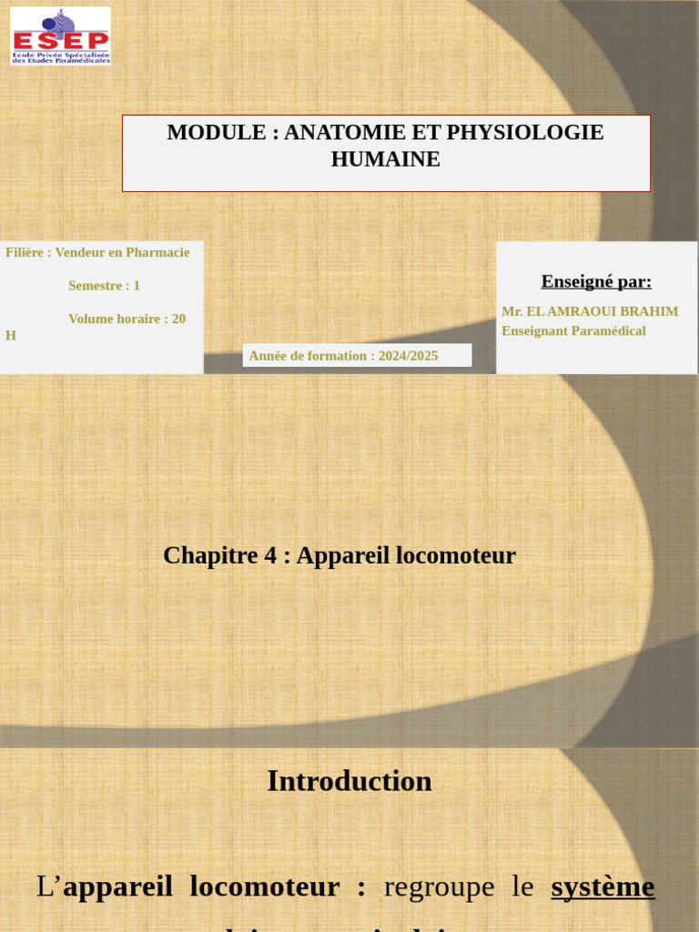 Anatomie du Système Locomoteur | PDF | Vertèbre | Colonne vertébrale