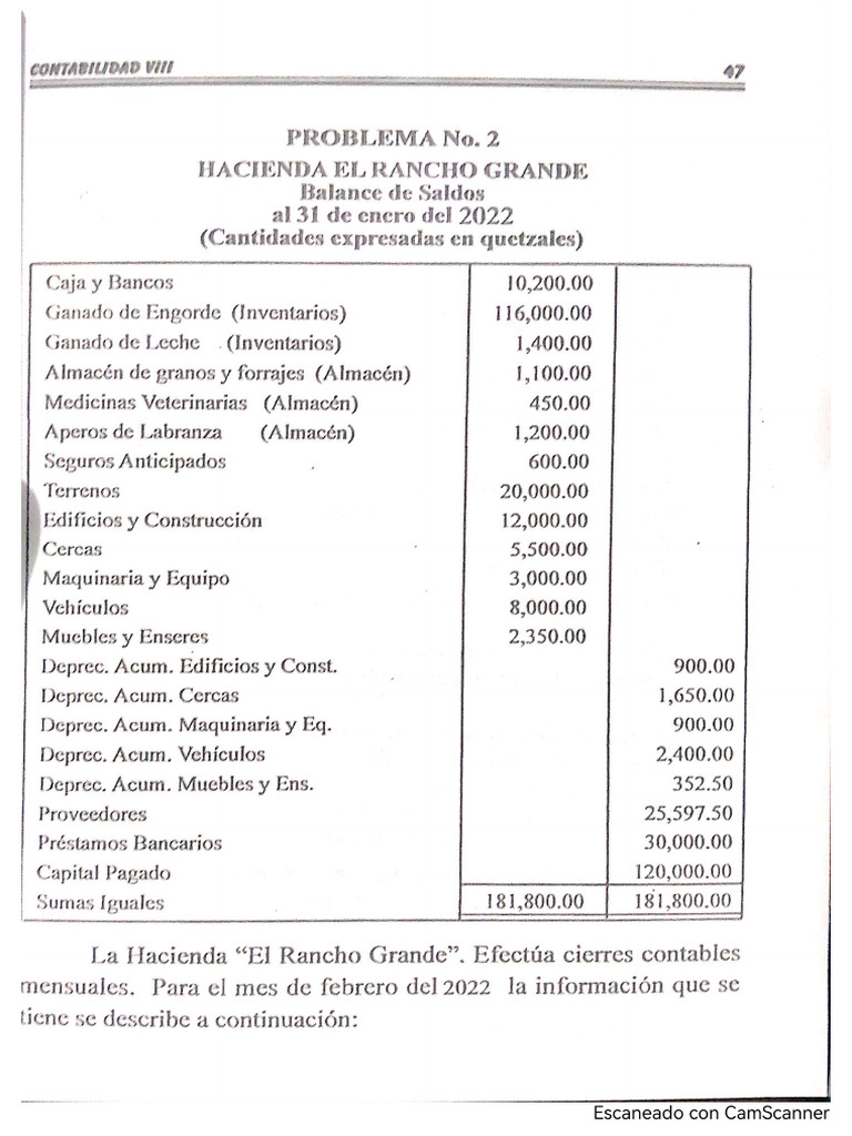 Problema No. 2, Noveno Ciclo Año 2025 | PDF