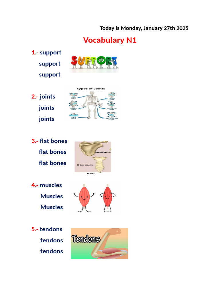 Vocabulary 5th Class | PDF