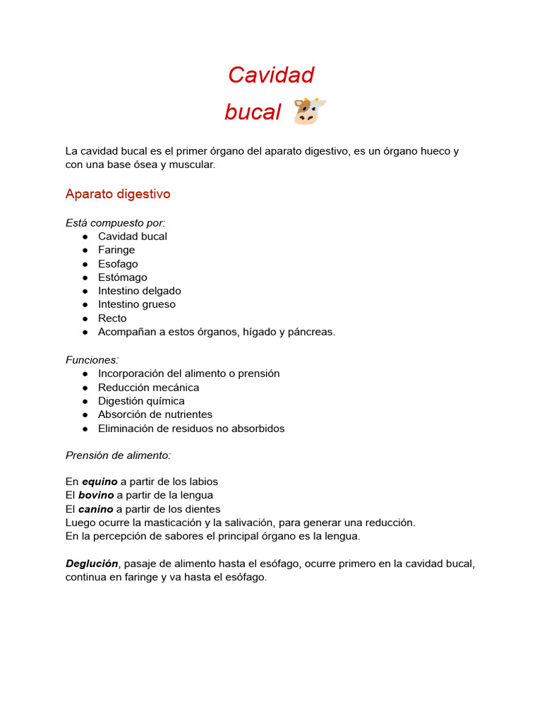 Anatomía y Funciones de la Cavidad Bucal | PDF | Boca | Diente