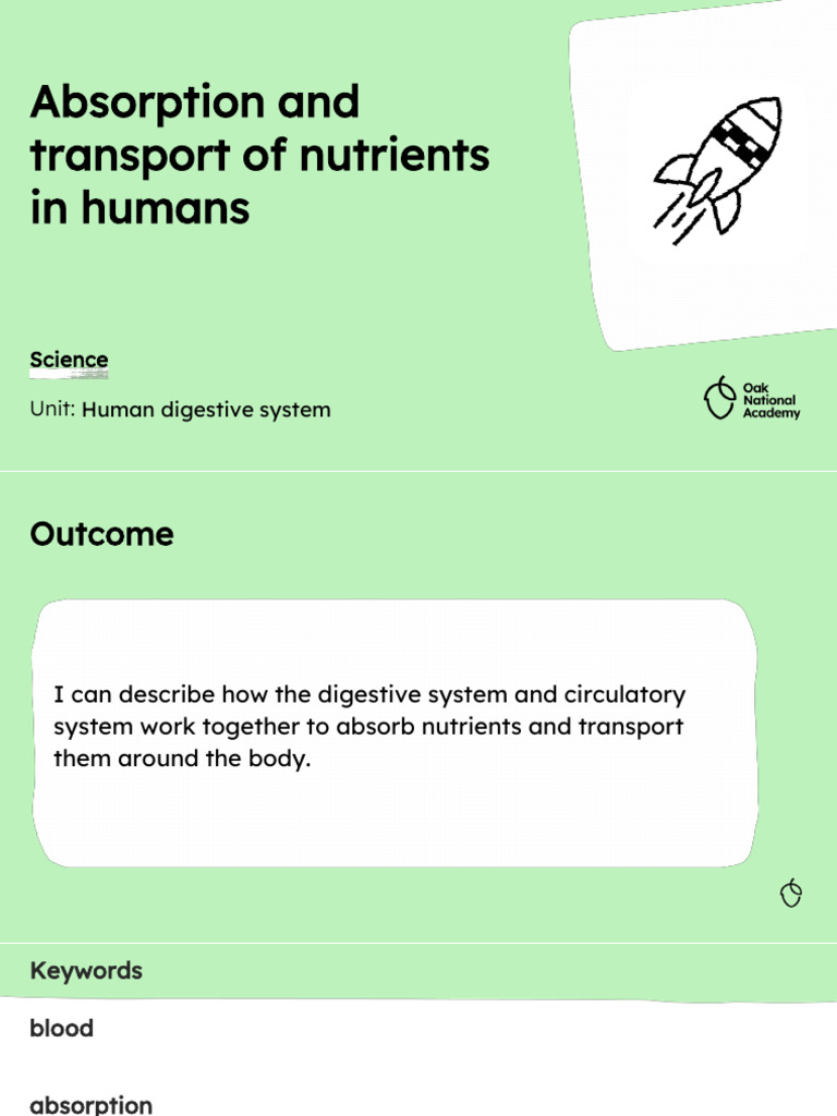 Absorption and Transport of Nutrients in Humans | PDF | Small Intestine ...