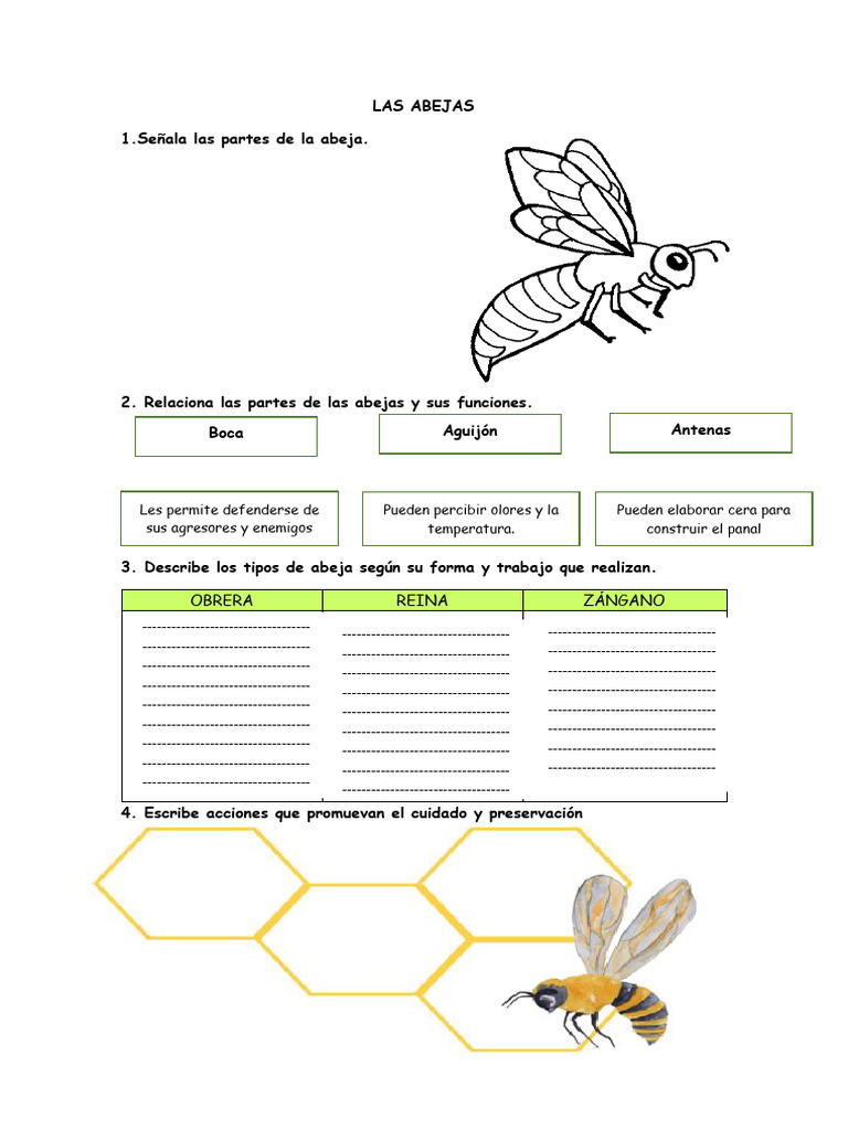 Las Abejas | PDF