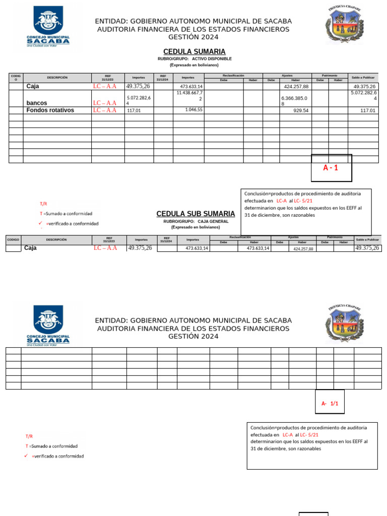 Cedula Sumaria | PDF | Auditoría | Economias