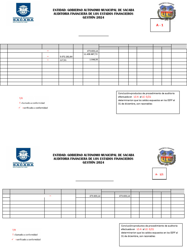 Cedula Sumaria | PDF | Auditoría | Economias