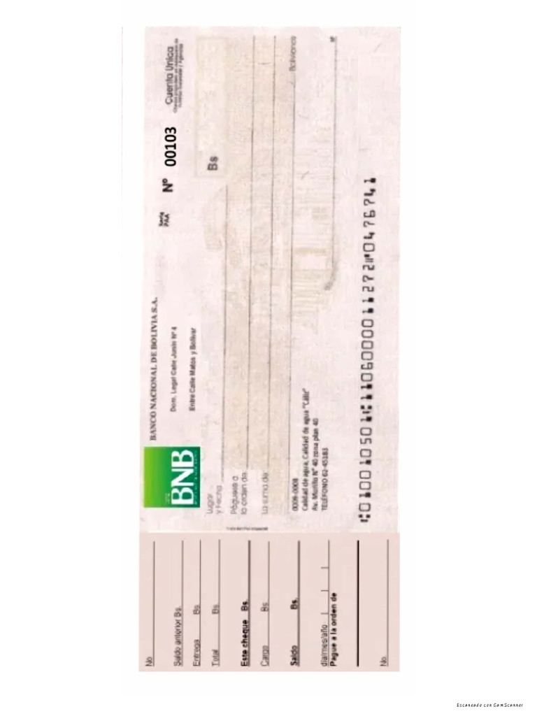 Cheques Ejemplos | PDF