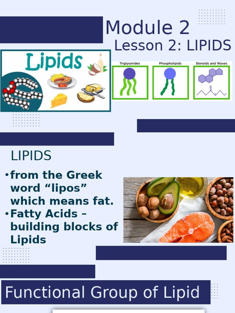 Module 3 Lesson 3 Lipids Studs | PDF | Triglyceride | Fatty Acid